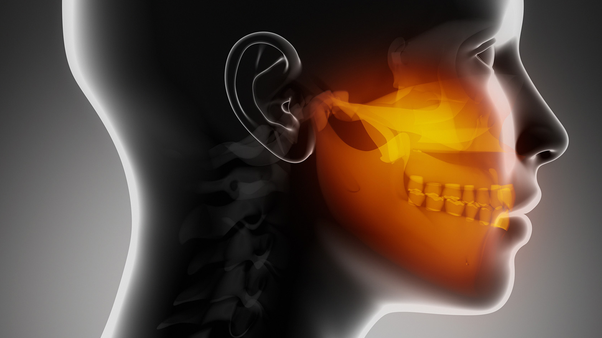 Gnathology: One of the Foundations of Modern Dentistry